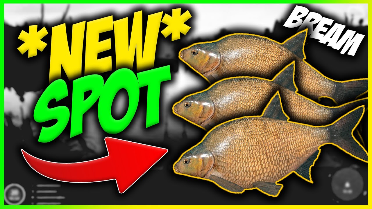 Russian Fishing 4 - *NEW* ACTIVE BREAM SPOT ON OLD BURG LAKE 40+ BREAMS ...