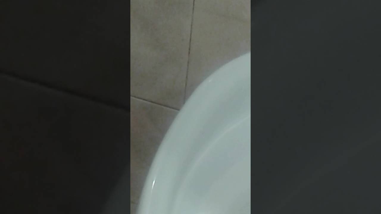 #kid tries to take a poop - YouTube