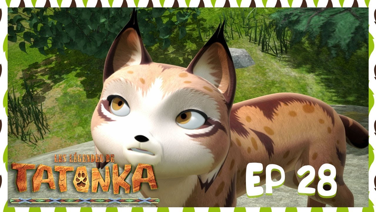 Tatonka en Français 🐺 Ina a disparu 😲 Dessin animé pour enfants - YouTube