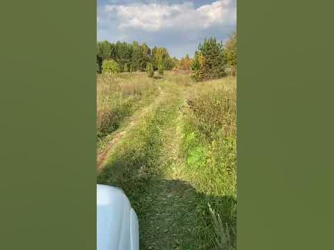 Шнива - YouTube