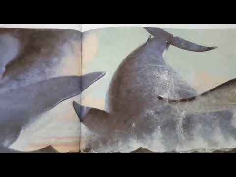 The Whales Song - YouTube