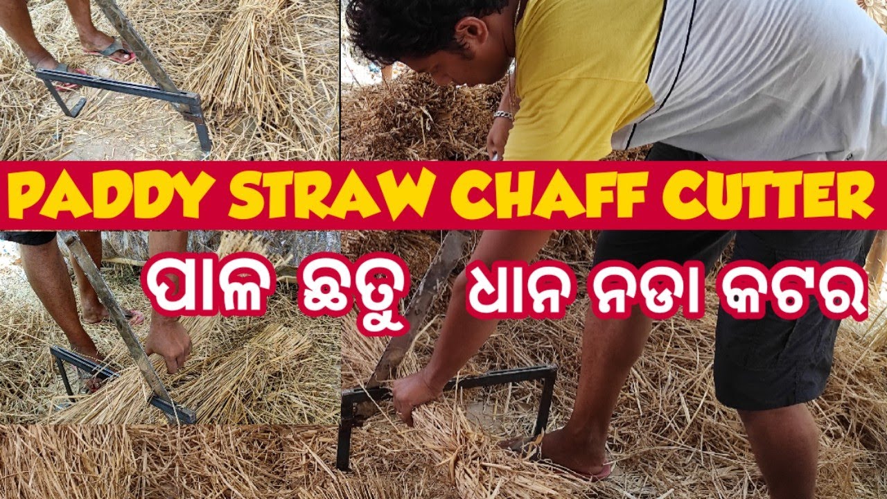 ଧାନ ନଡା କଟର / Paddy straw chaff cutter /manual straw cutter /Mushroom ...