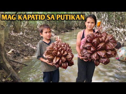 PINAG-BIBINTANGAN SILANG MGA MAG-NANAKAW - YouTube