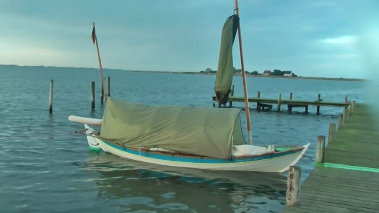 Sooty Tern "Long John Silver" sailing - YouTube