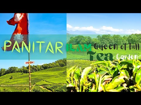 Panitar Ilam, Deumai municipality- Eastern part of Nepal (Another ...