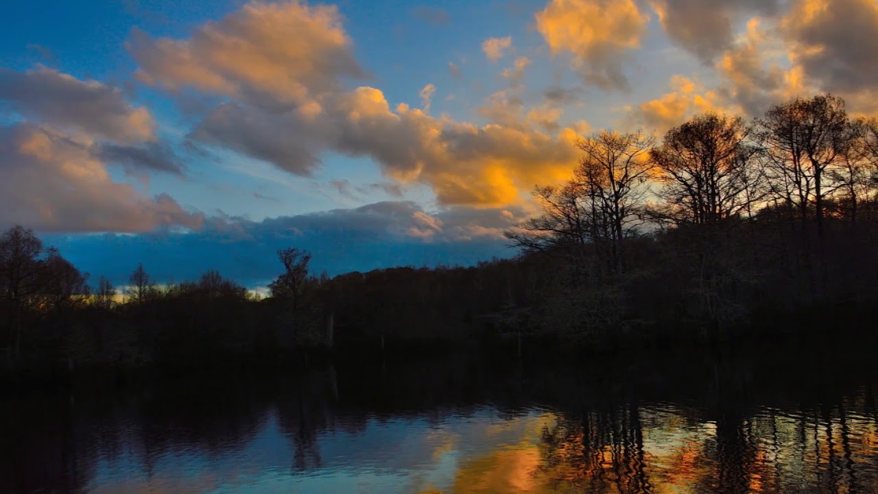 Dead Lakes @ Wewahitchka, Gulf County, Florida - YouTube