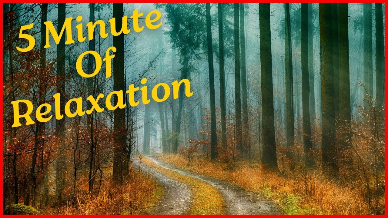 5-Minute Calming Nature Scenes for Relaxation - YouTube