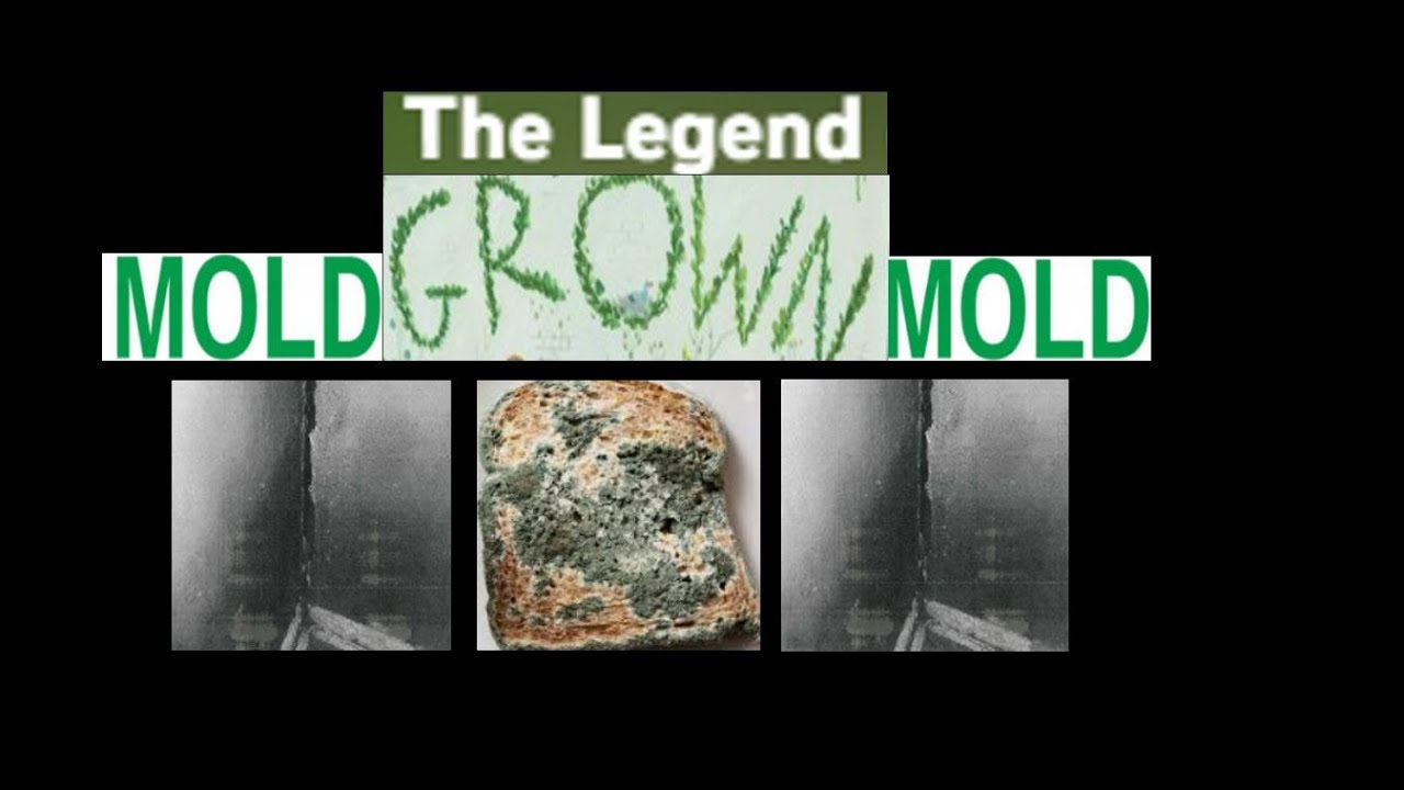 If Their Mold & Lies Were Converted In To Cash, They'd Be Millionaires ...