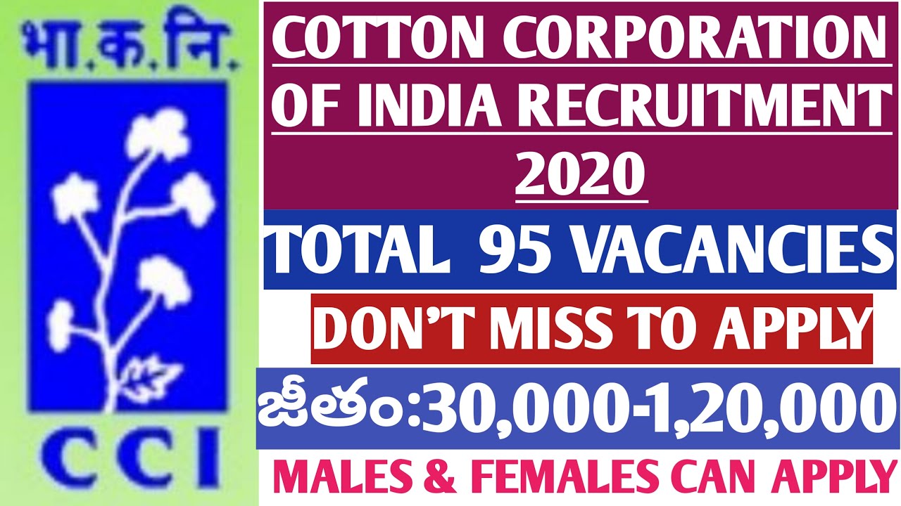 CCI-Cotton corporation of India Recruitment 2020| latest job updates ...