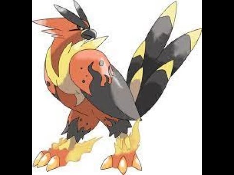 TALONFLAME'S FULL EVOLUTION - YouTube