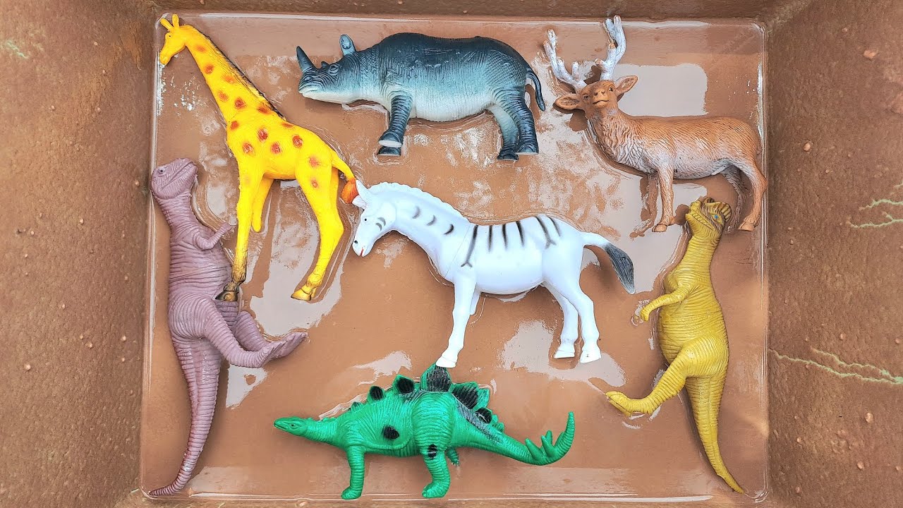 membersihkan mainan hewan badak jerapah zebra rusa tirex dinosaurus ...