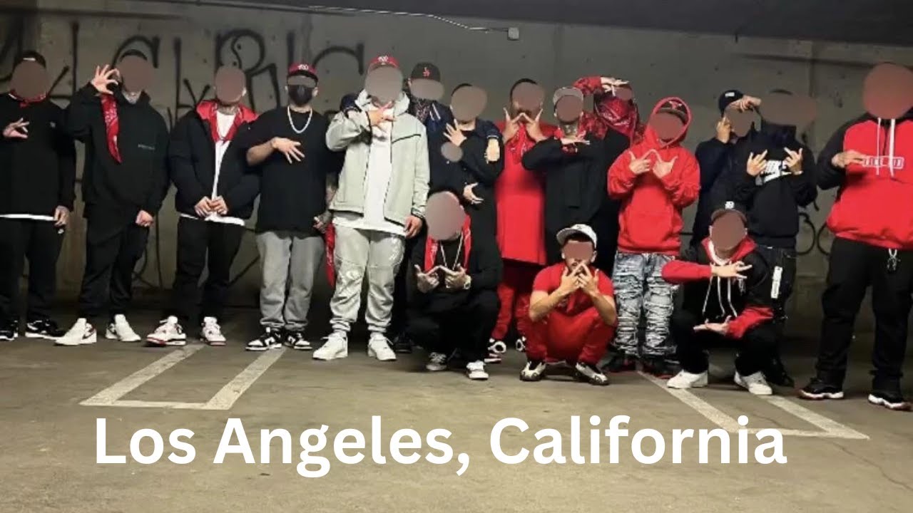Do Asian Gang Members Who Claims Crips or Bloods Get Respect From ...