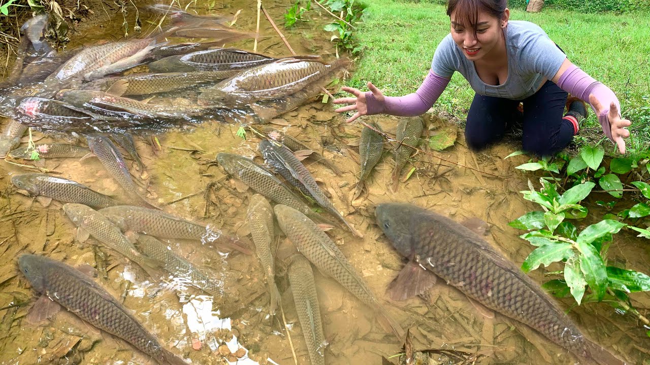 Full video of fishing with a water suction machine to catch big fish ...