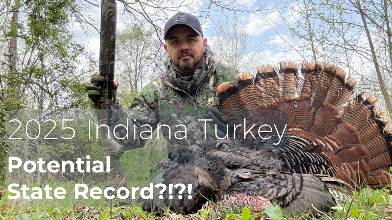 Turkey Heartbreak/ Potential Indiana State record turkey at 15 yards ...