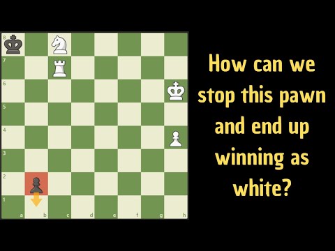 This study is not easy, white wins!