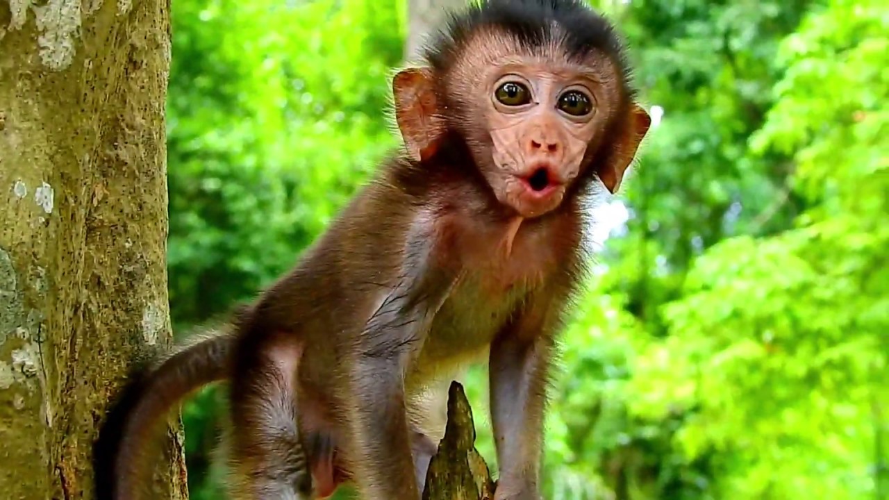 How adorable you are baby Daniela? - YouTube