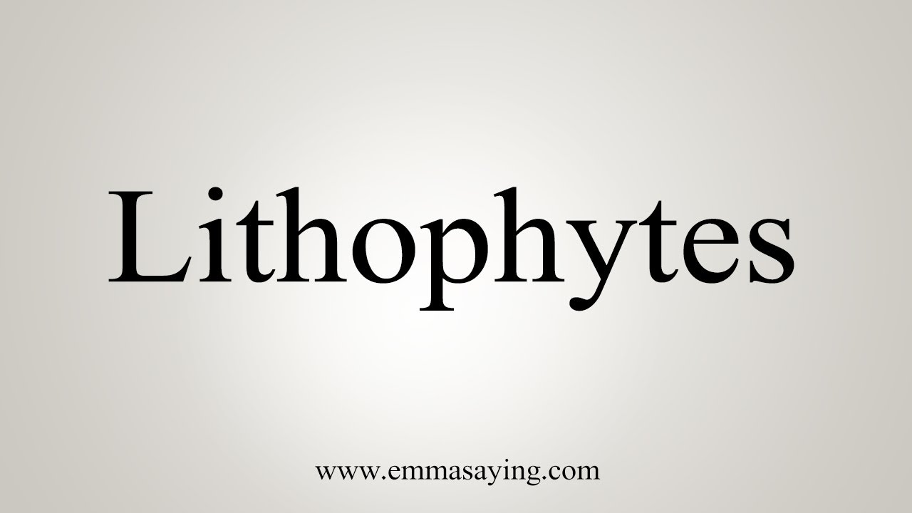How To Say Lithophytes - YouTube