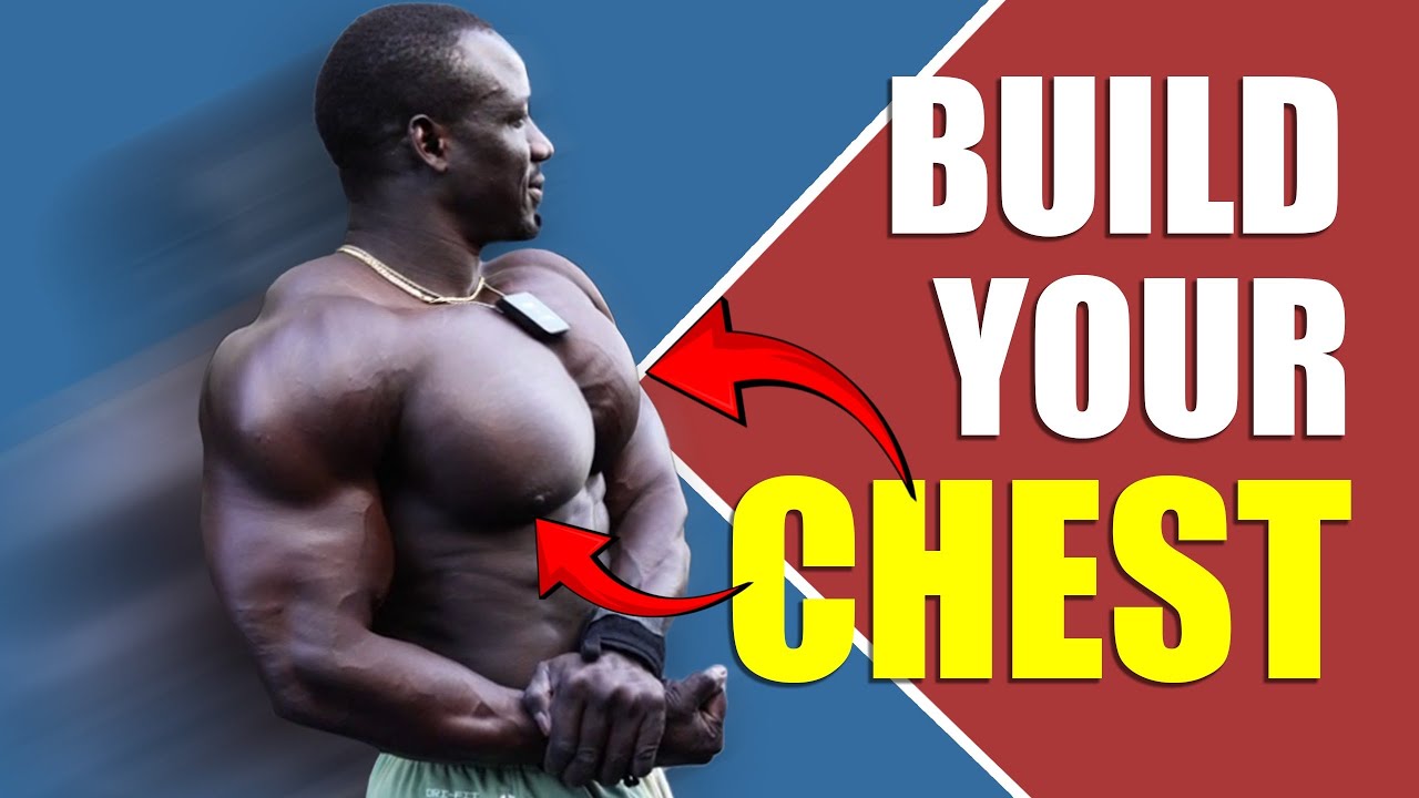 How To Build Your Chest With Only 4 Exercises ! - YouTube