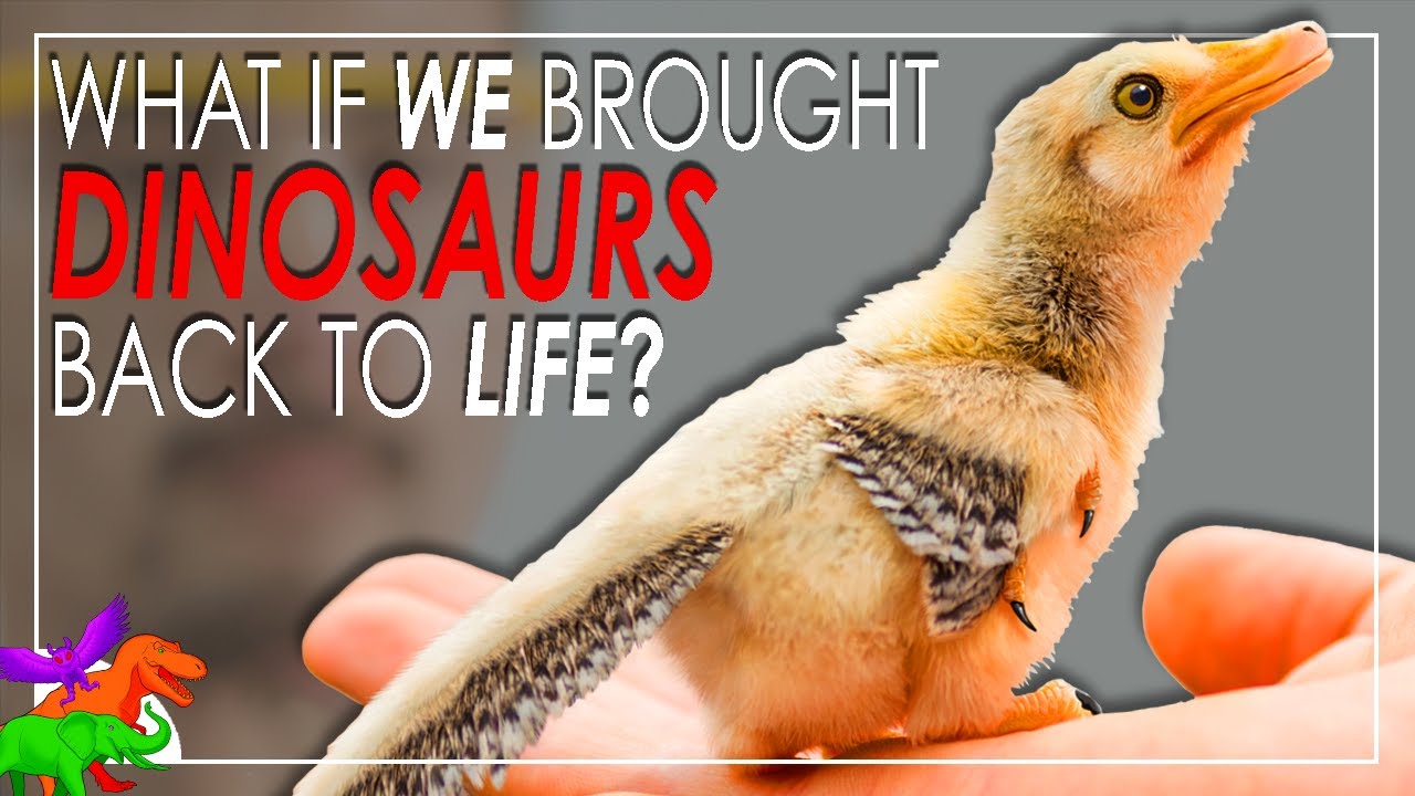 What If We Brought Dinosaurs Back To Life? – Novosaurs EXPLAINED - YouTube