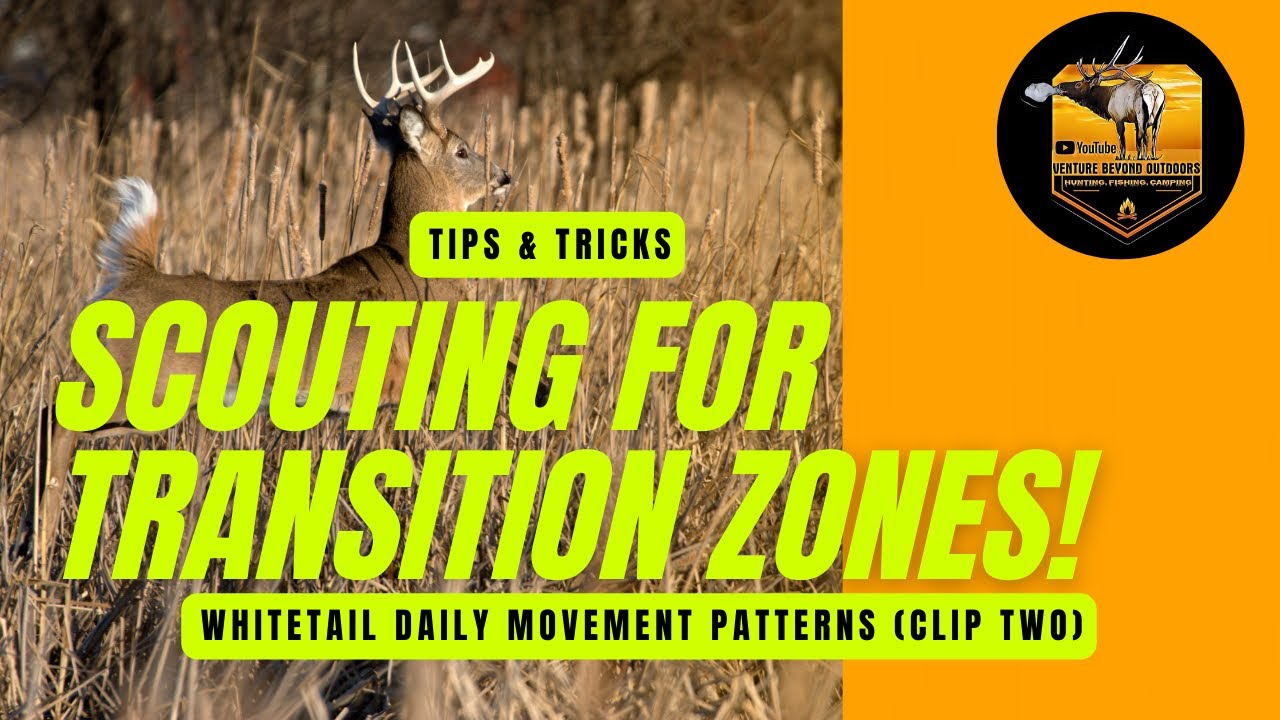 Whitetail Deer Hunting- Scouting for Transition Zones on Public Land ...