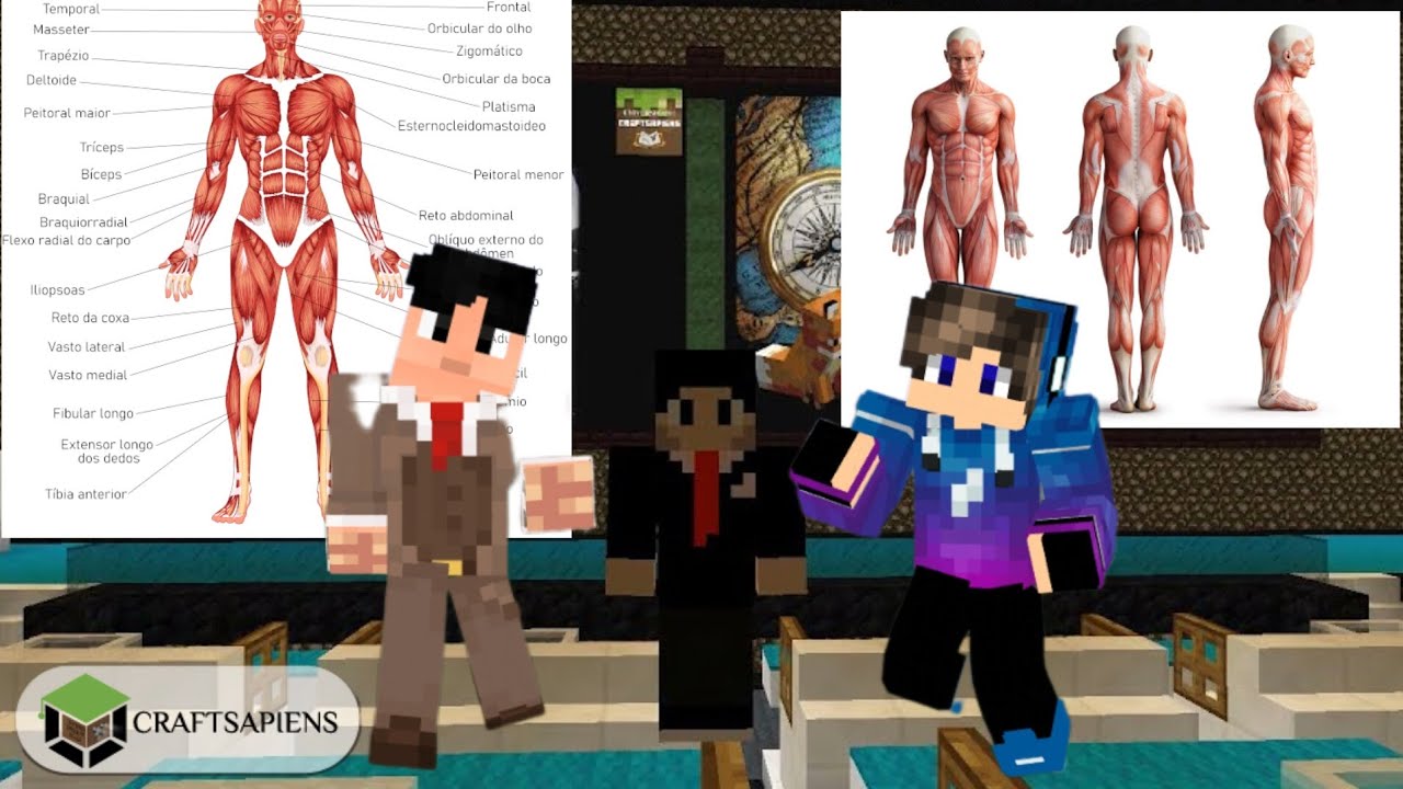 FUI NA ESCOLA DO ENEM E ESTUDAMOS SOBRE OS OSSOS DO CORPO HUMANO NO ...