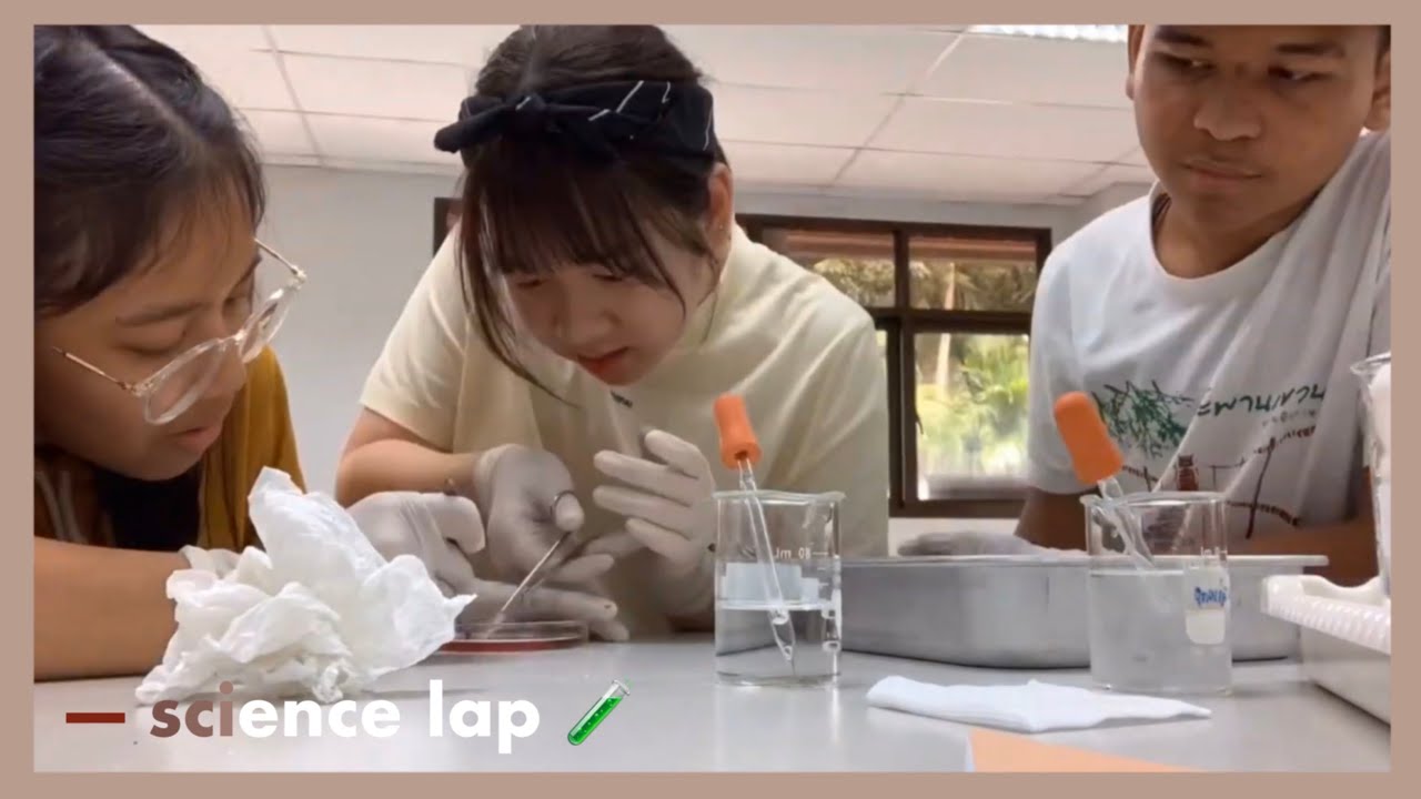 science lap 🧪 - YouTube