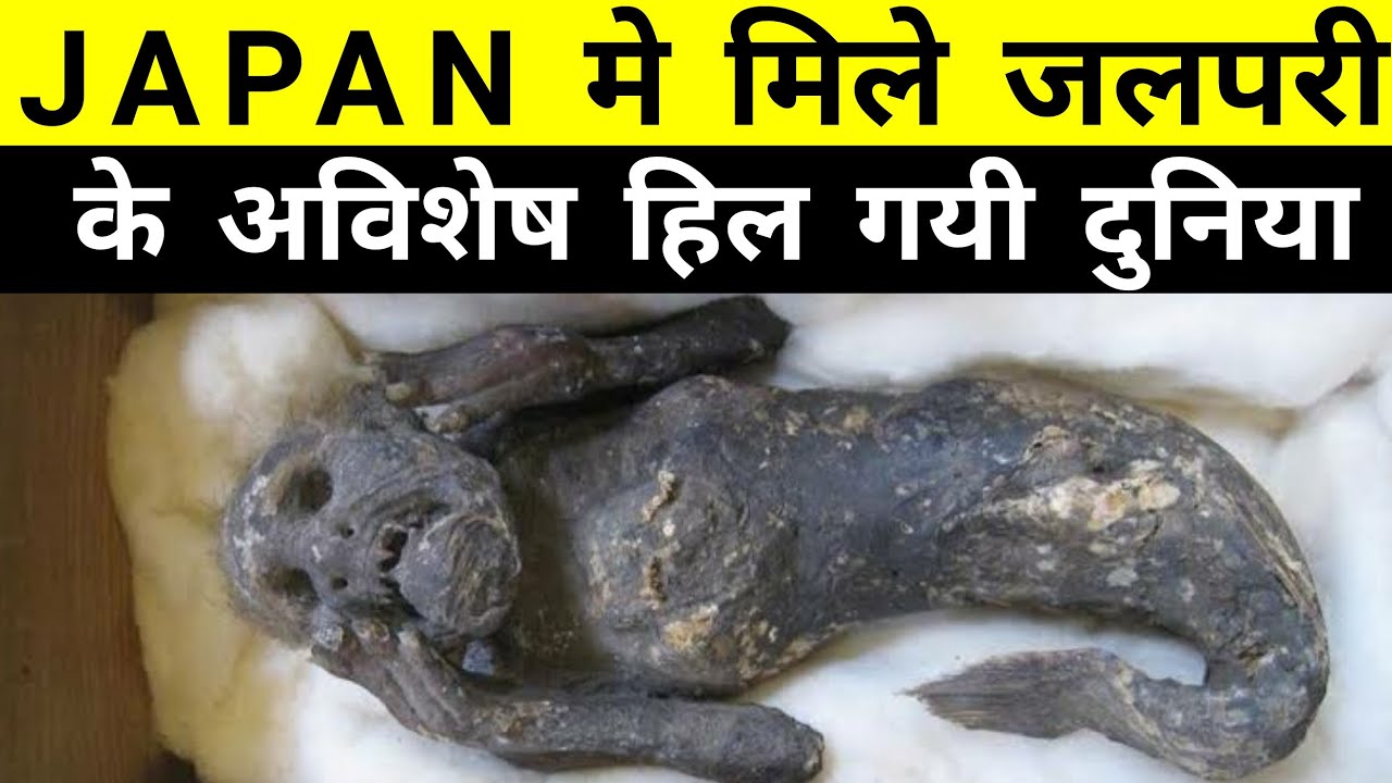 Japan Found 300 Year old mummified mermaid - YouTube