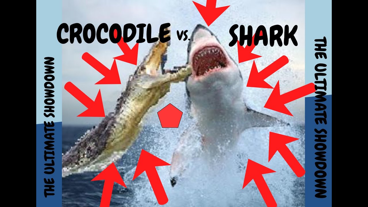 HUGE 20 FOOT SHARK DESTROYS GIANT CROCODILE - YouTube