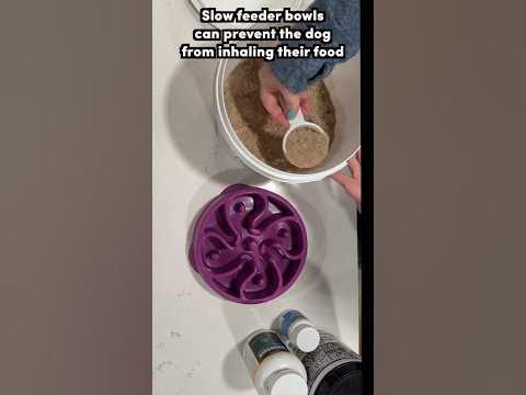 How I Feed My Dogs (the fun way!) - YouTube