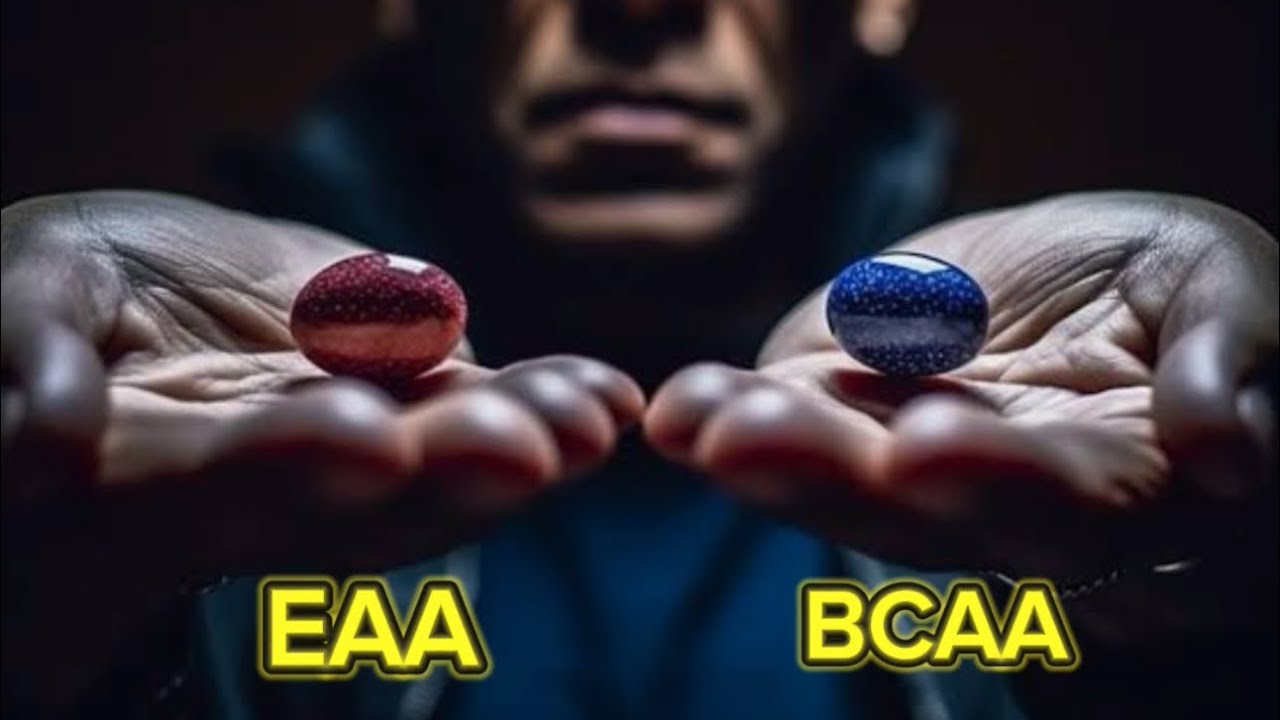 EAA mı yoksa BCAA mı kullanmalıyız? - YouTube