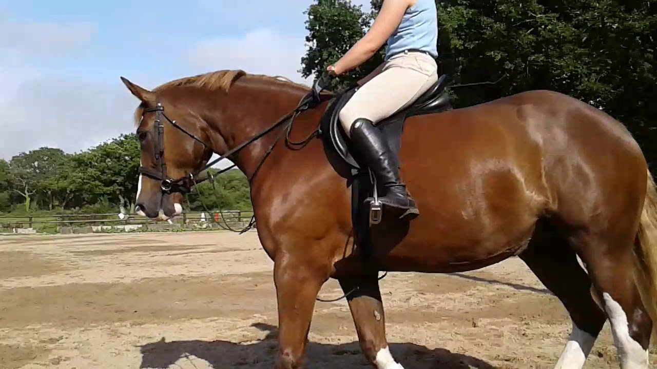 Caddy ridden video - YouTube