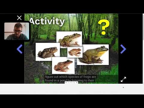 Science P.2 Lesson Why do frogs say ribbit (12/Jan/21) T.DD - YouTube