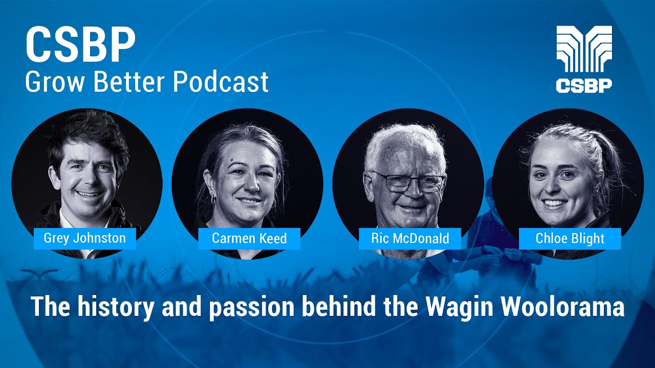 The history and passion behind the Wagin Woolorama - CSBP Grow Better ...