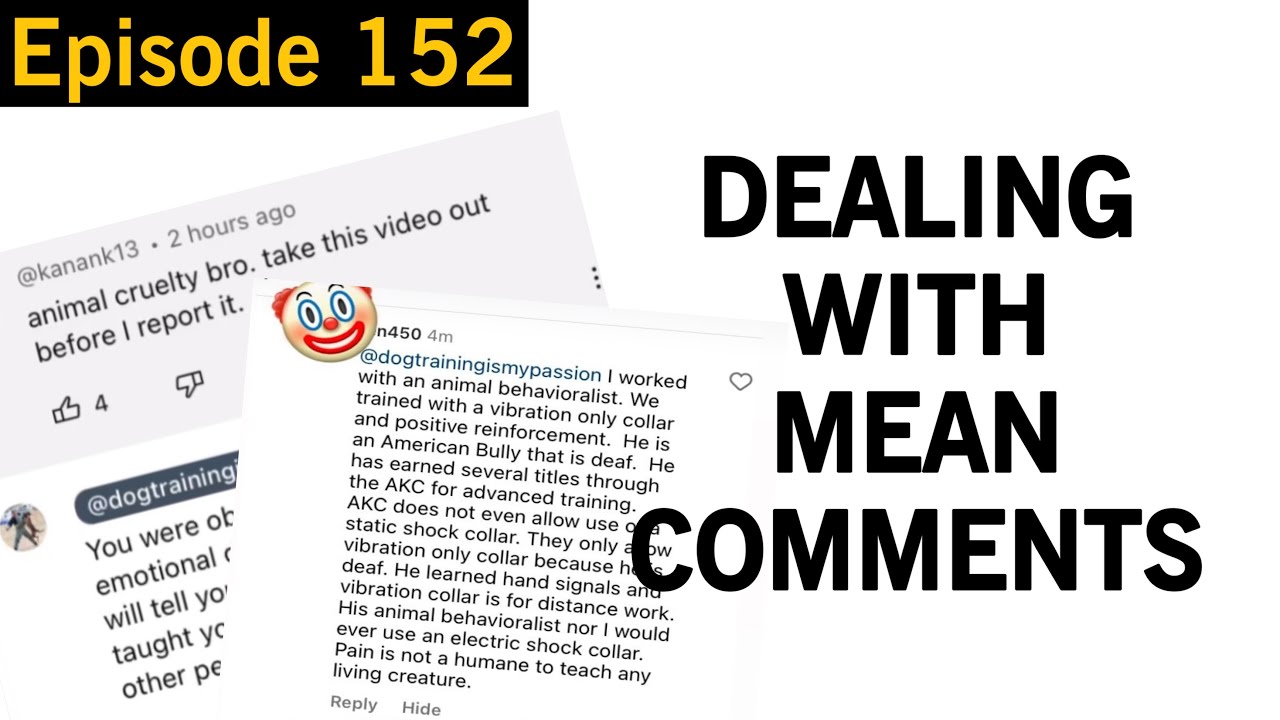Internet Trolls & Mean Comments. How to deal with - YouTube