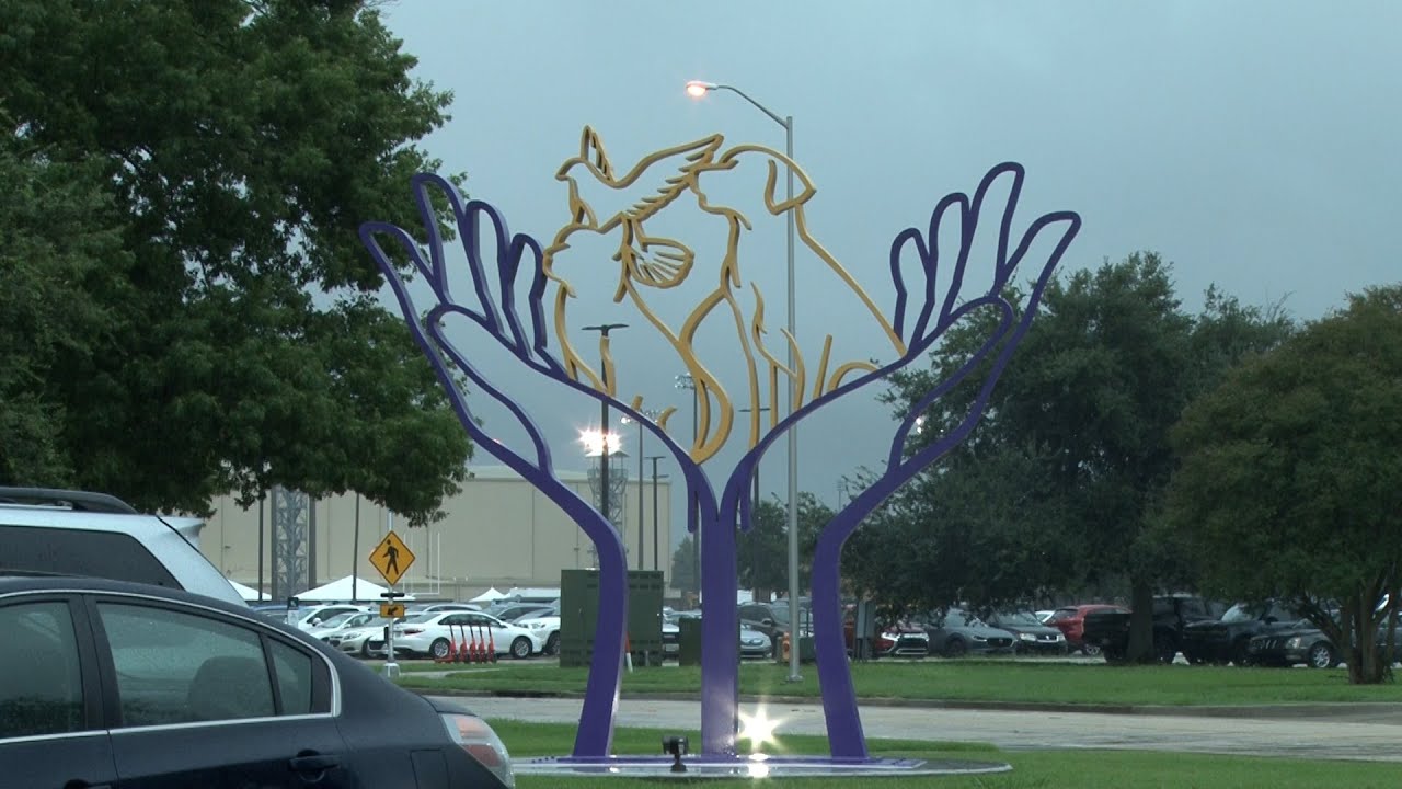 LSU School of Veterinary Medicine upgrades facility through art and ...