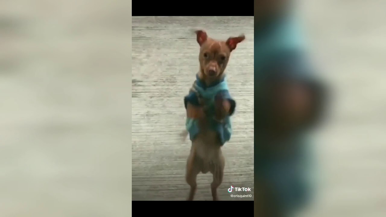 me miro y la mire meme - YouTube