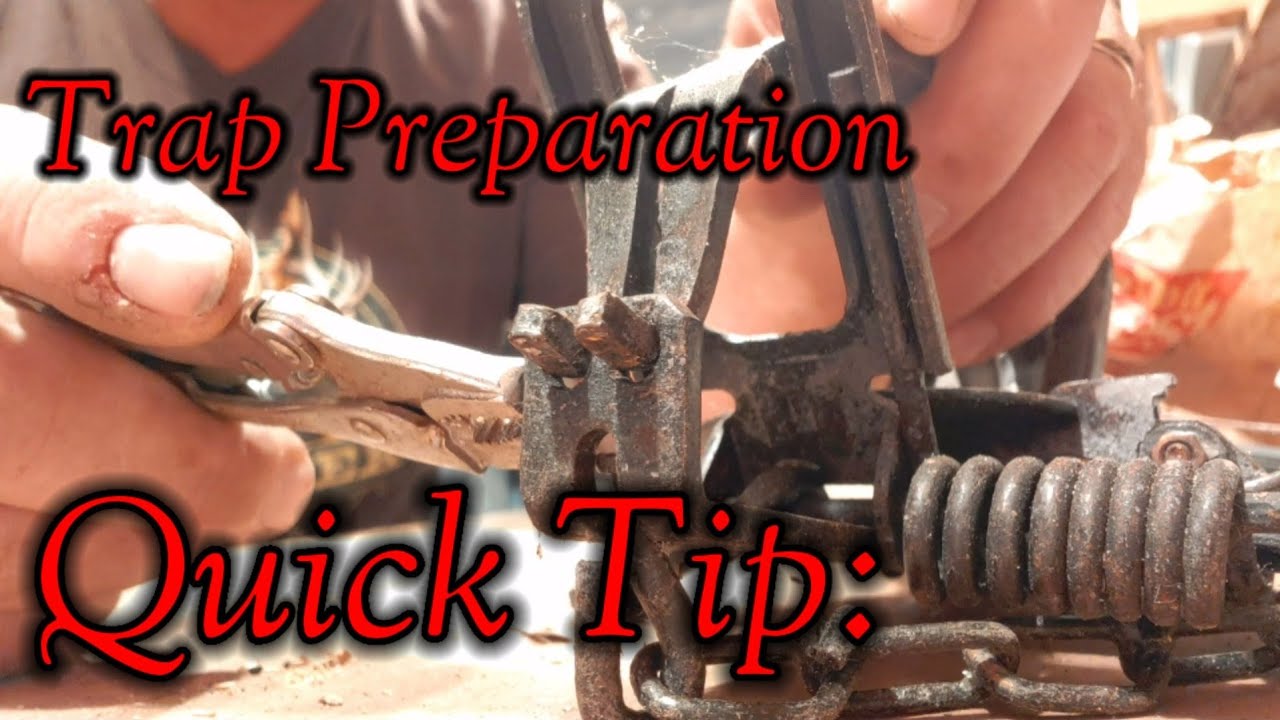 Trap Preparation (how to/quick tip) - YouTube