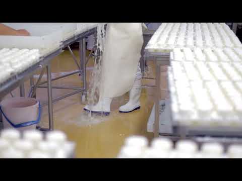 Food Industry - The perfect fit for your feet | Dikamar® Boots