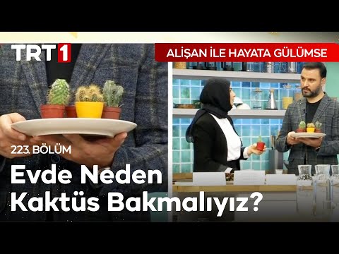 Evimizde Neden Kaktüs Bulundurmalıyız? - Uzm. Nuray Karpuzcu Anlatıyor | Alişan ile Hayata Gülümse