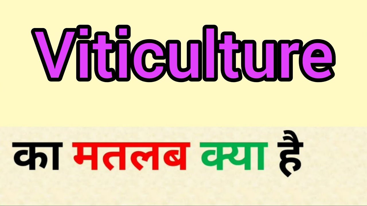Viticulture meaning in hindi || viticulture ka matlab kya hota hai ...