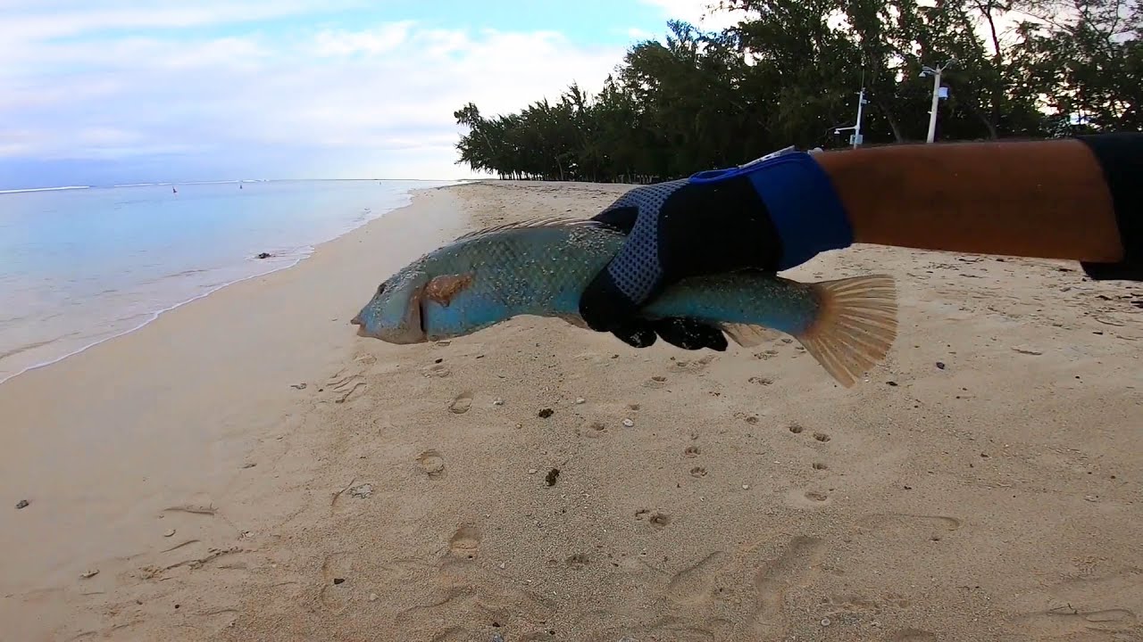FISHING with SOFT PLASTICS at FLIC EN FLAC Beach MAURITIUS - YouTube