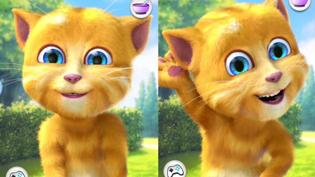 kucing oren | talking Ginger random moments 10 - YouTube