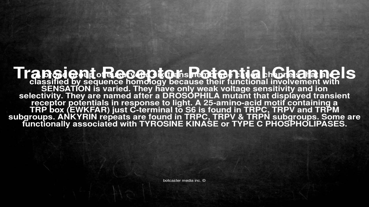Medical Vocabulary What Does Transient Receptor Potential Channels medical-vocabulary-what-does-transient-receptor-potential-channels