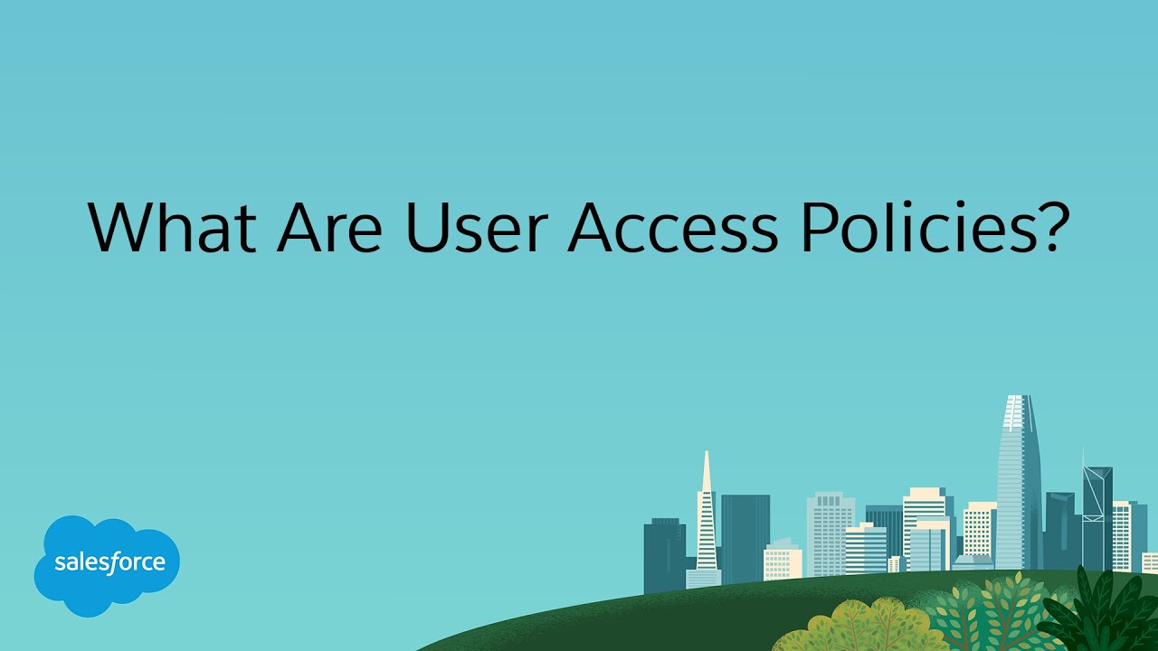 What Are User Access Policies? - YouTube