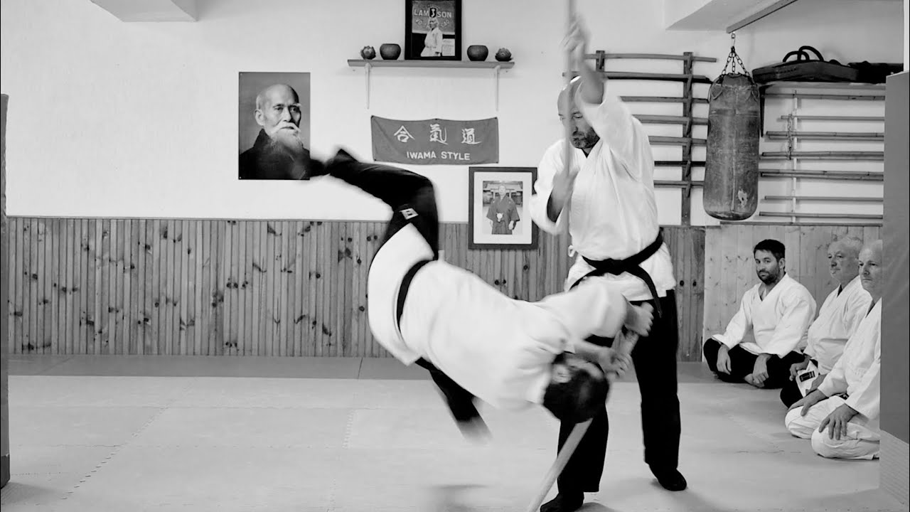 Démonstration d’Iwama Takemusu aikido à Ajaccio - kinen - YouTube