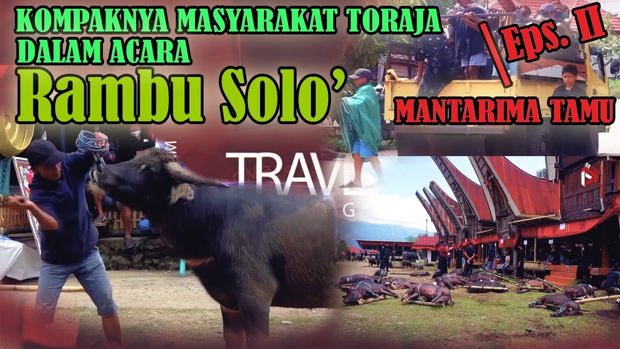 Mantarima Tamu Prosesi Menuju Puncak Acara Rambu Solo' - YouTube