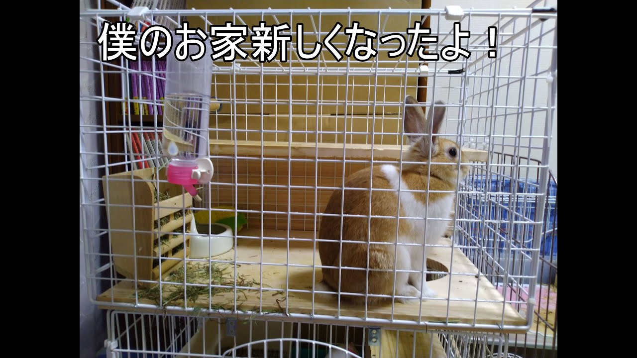 るな坊の新居【キラ＆るな＃1】 - YouTube