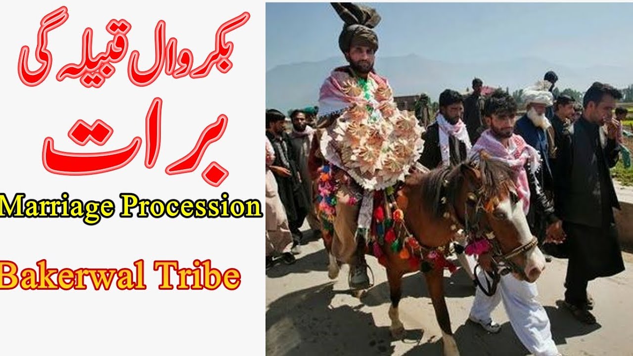 Bakerwal Qabeela Gi Janj|| Baraat||Marriage Procession Of Bakerwal ...