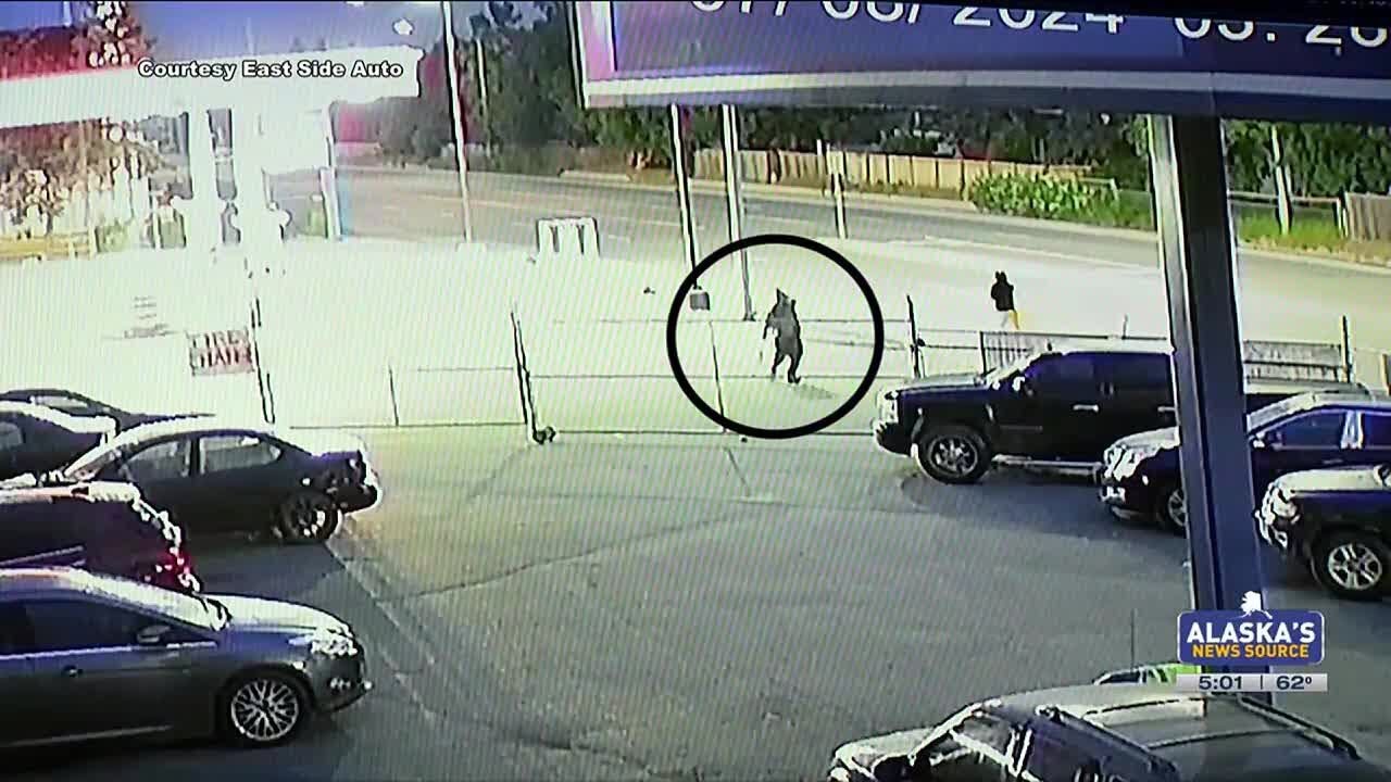 Anchorage Police update latest officer involved shooting - YouTube