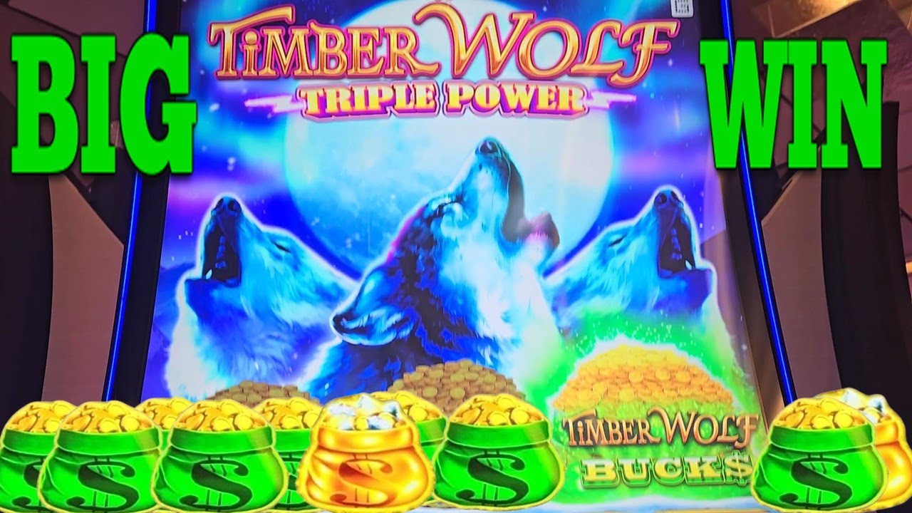 BIG WIN! TIMBER WOLF BUCKS BONUS | TIMBER WOLF TRIPLE POWER SLOT | Las ...